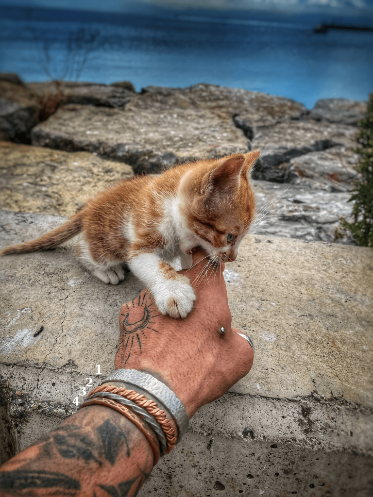 Atlas - Metal Art İstanbul